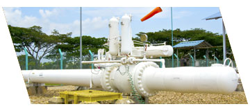 Why Texla - Texla Energy Management Wholesale Marketing Service